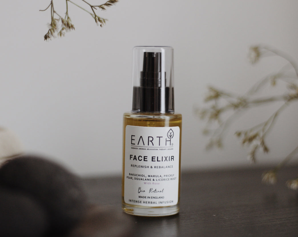 Earth from Earth